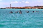Cubagua, Venezuela: Guía completa de turismo | andaventura.com